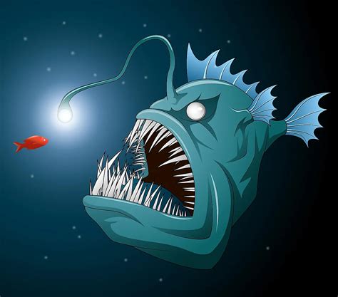 Real Angler Fish