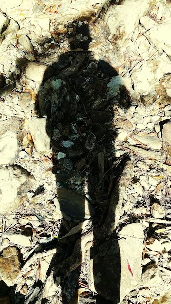 High Angle View Of Shadow Of Person On Rocks Premium Photo