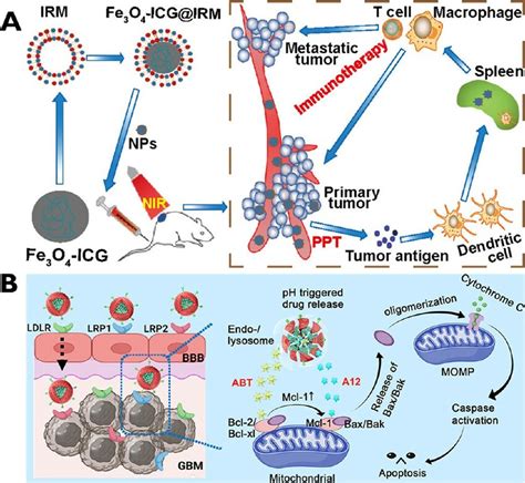 Examples Of Biomimetic Nanoparticles Used For Cancer Treatment A
