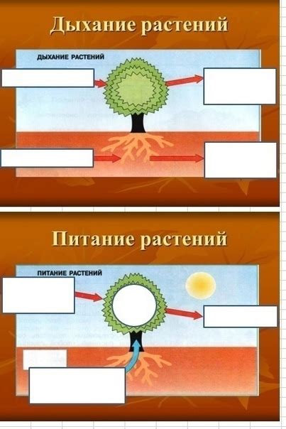 Окружающий мир Школа России 2 и 3 класс окружающиймирmy