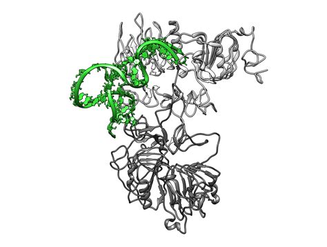 Preprint General Chemical Optimisation Of Aptamers The Serpell Group