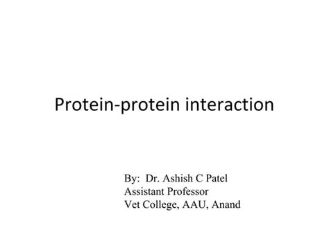 Protein Dna Interactions An Overview