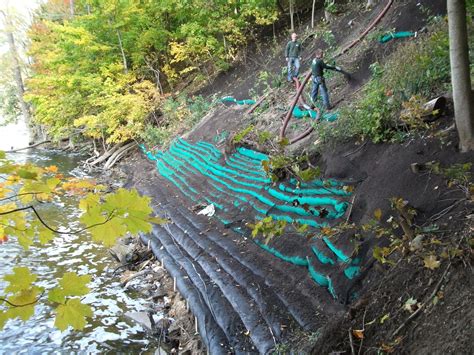 Slope Shoreline Stabilization Techniques Superior Groundcover