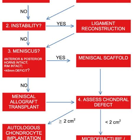 Pdf Concepts In Managing The Patient With Post Meniscectomy Knee Pain