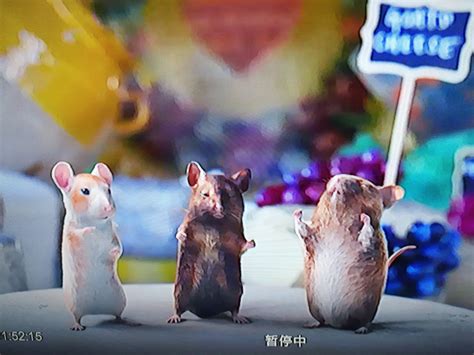 不一样的《灰姑娘2021》 知乎