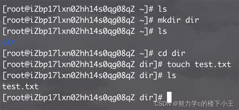 【linux】 基础命令 第一篇linux新建文件夹命令 Csdn博客