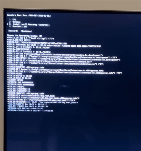 Fail To Boot Monterey Installation Usb With Opencore Rhackintosh