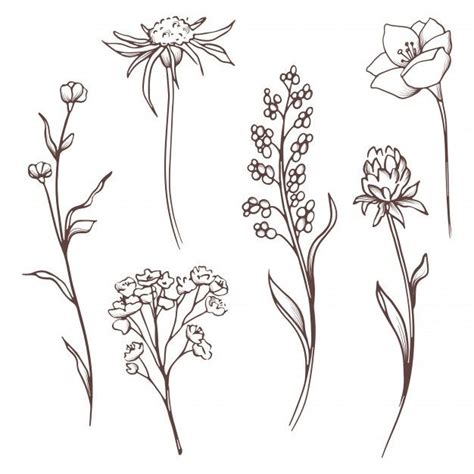 Premium Vector Floral Collection Hand Drawn Set Flowers And Leaves Blooming Composition