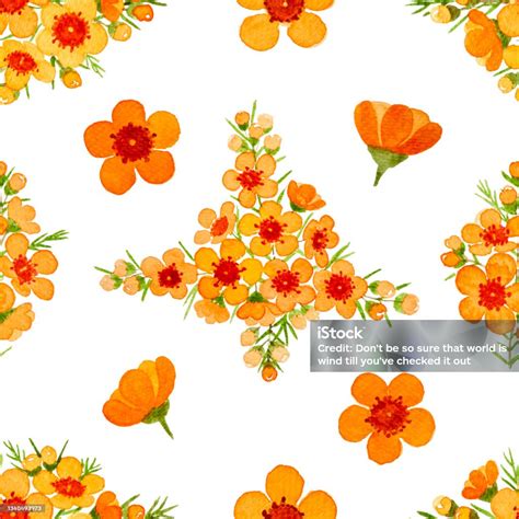 왁스 꽃 꽃 의 오렌지 색상 꽃잎 매끄러운 패턴 일러스트 흰색 배경에 고립 된 수채화 식물 인쇄 벽지 직물 직물 요소 0명에 대한 스톡 벡터 아트 및 기타 이미지 Istock