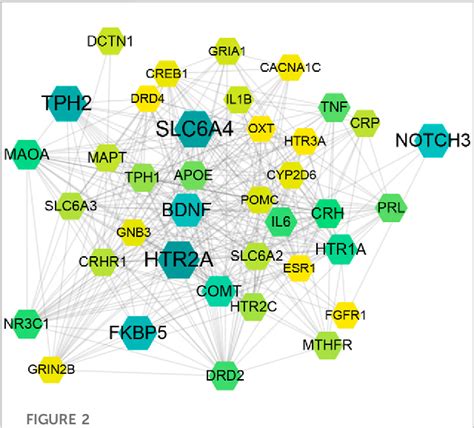 figure 2 from mathematical algorithm based identification of the