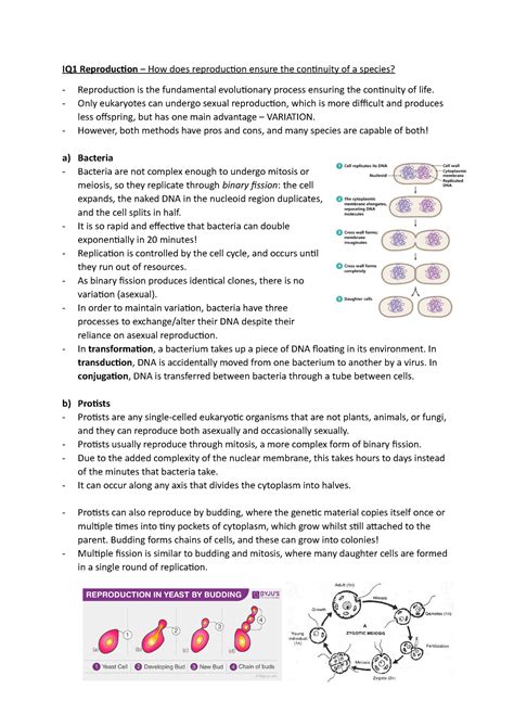 2020 Bio Module 5 Heredity Summary Notes Jessica Iq1 Reproduction How Does Reproduction