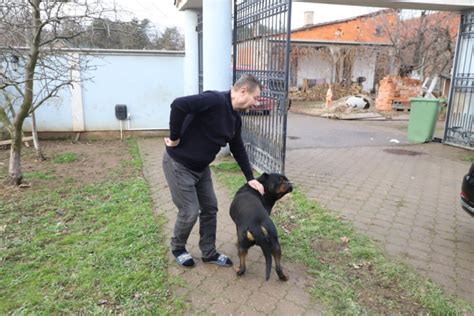 Andrijanin Pas Je Na Ivici Smrti Otac Poginule Pevačice Otkrio Nove