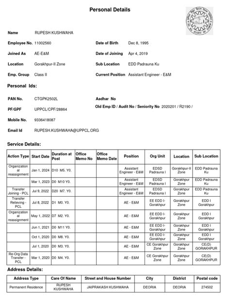 Entity Pdf