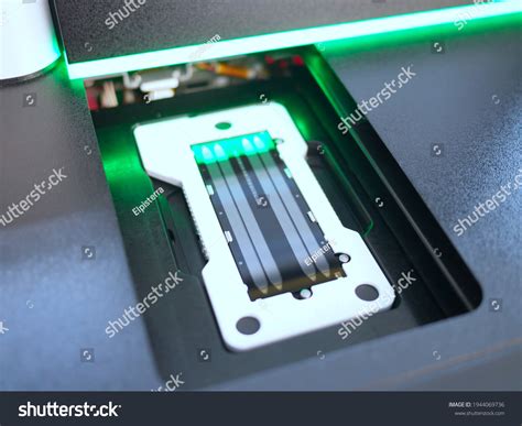 Sequence Stock Photos Images Photography Shutterstock