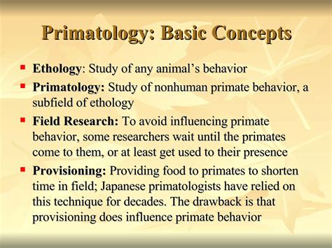 Primate Social Behavior