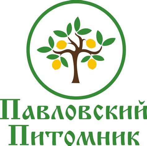 Саженцы лимонов из Павлово Павловский Питомник
