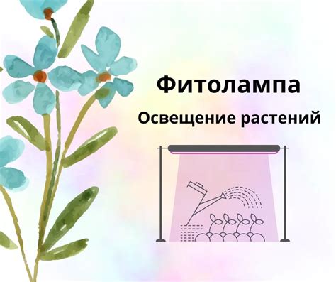 Фитолампы для растений на полный цикл