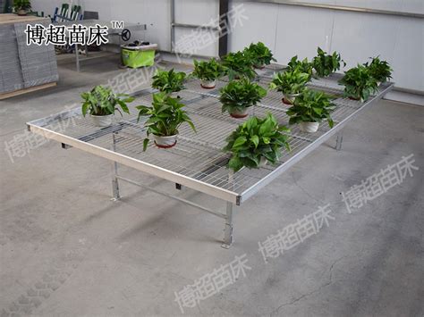 种植槽系统 移动苗床 多层种植货架 潮汐苗床 物流苗床 潮汐面板 立体旋转育秧床 河北博超温室设备有限公司