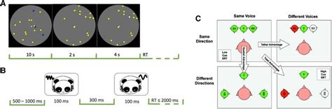 Paradigms For A Visual Multiple Object Tracking Mot Task 17 B Download Scientific