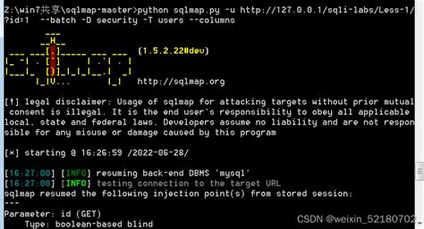 Sqlmap的使用sqlmap清除缓存 Csdn博客