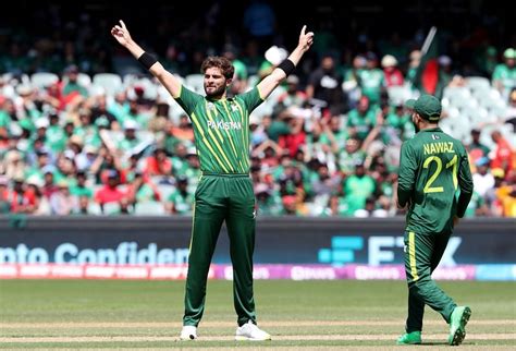 T20 World Cup 2022 Afridi Four Fer Haris Cameo Lift Pakistan Into