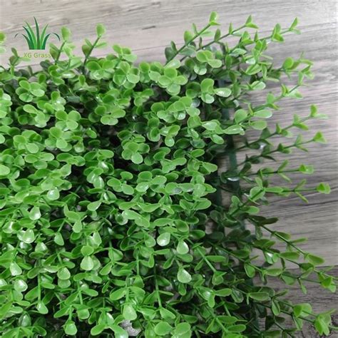 Grass Wall Classroom China Grass Wall Classroom Manufacturers