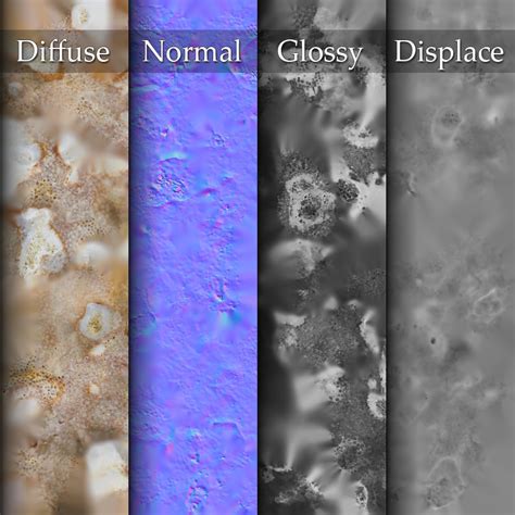 Coral Model Turbosquid 1275236