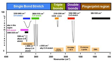 Frontiers Applications Of Fourier Transform Infrared Spectroscopy In