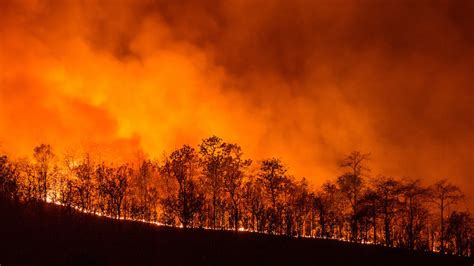 Ucce Seeks Statewide Input To Develop Future Wildfire Programs