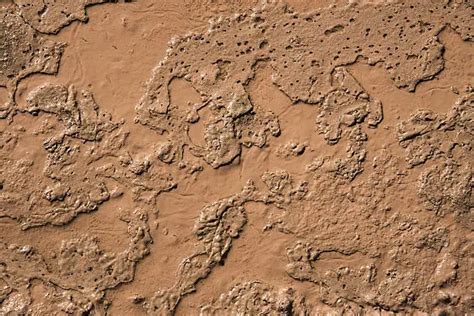 Mud Texture Pictures Download Free Images On Unsplash