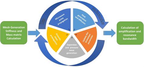 The Schematic Diagram Of The Simulation Procedure Including All Download Scientific Diagram