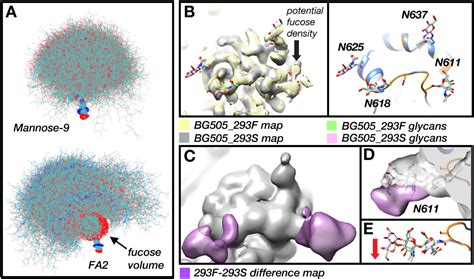 Figure From Quantification Of The Resilience And Vulnerability Of HIV Native Glycan Shield