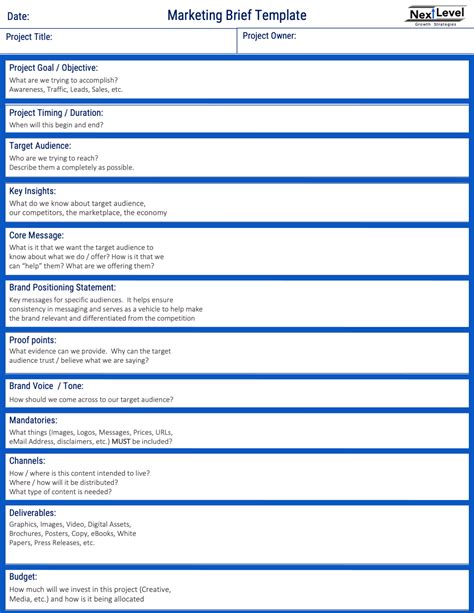Next Level Growth Strategies Marketing Brief Template Next Level