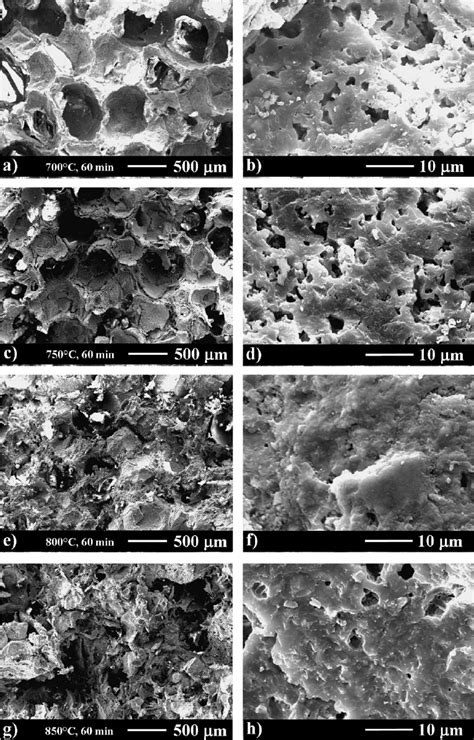Ah SEM Micrographs Of LZSA Glass Ceramic Foams Sintered For 60 Min