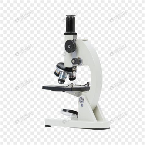 현미경 이미지 사진 401694190 무료 다운로드