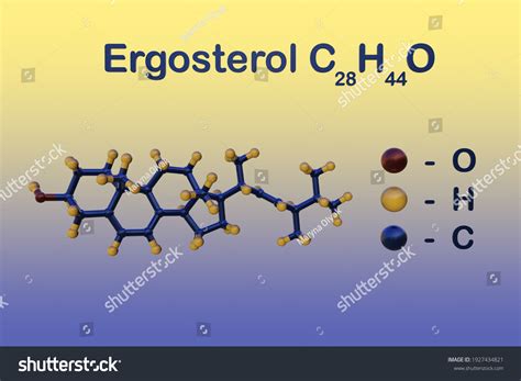 Ergosterol Structure