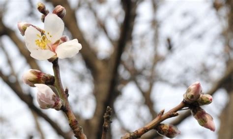 Времето през март Не прибирайте топлите дрехи