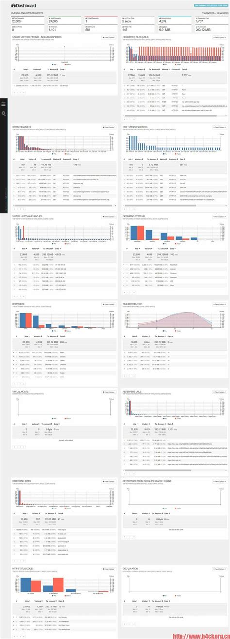 Nginx Goaccess