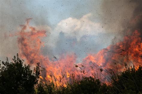 Galería De Imágenes Del Incendio De Ses Feixes En Ibiza Diario De Ibiza