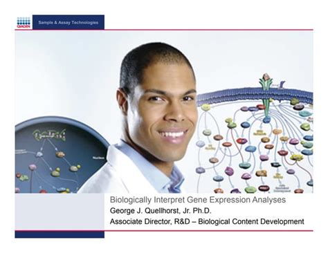 Interpret Gene Expression Results 2013 Pdf
