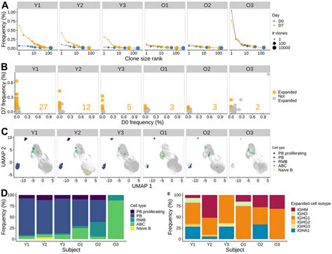 High Throughput Single Cell Profiling Of B Cell Responses Following Inactivated Influenza