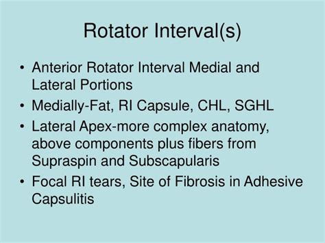 Ppt Rotator Cuff Anatomy Dr Xxxxx Hospital Xxxxx Date Xxxxx