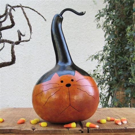 Halloween Gourd Kitty Cat Natural Fall Harvest Pumpkin