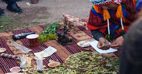 Secretos De La Ayahuasca Origen Uso Y Recetas