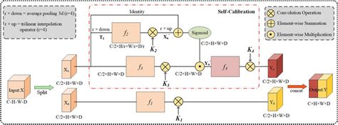 The 3d Self Calibrated Convolutions As Can Be Seen The Original