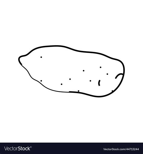 Sweet Food Potato Line Icon Royalty Free Vector Image