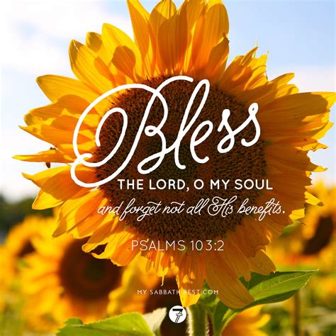 Sunflower With Bible Verse