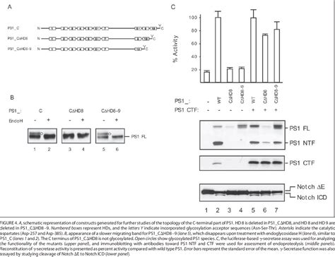 Figure 1 From A Nine Transmembrane Domain Topology For Presenilin 1