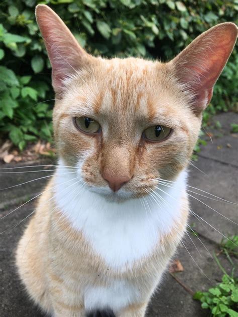 Attending A “tupperware Party” For Sex Toys Was A Surprisingly Enrichening Experience By Elske