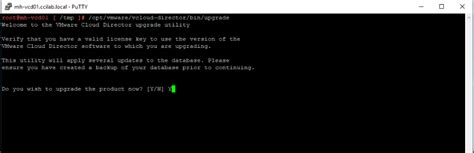 Vmware Cloud Director Step By Step Vcd Upgrade From Version 1042 To